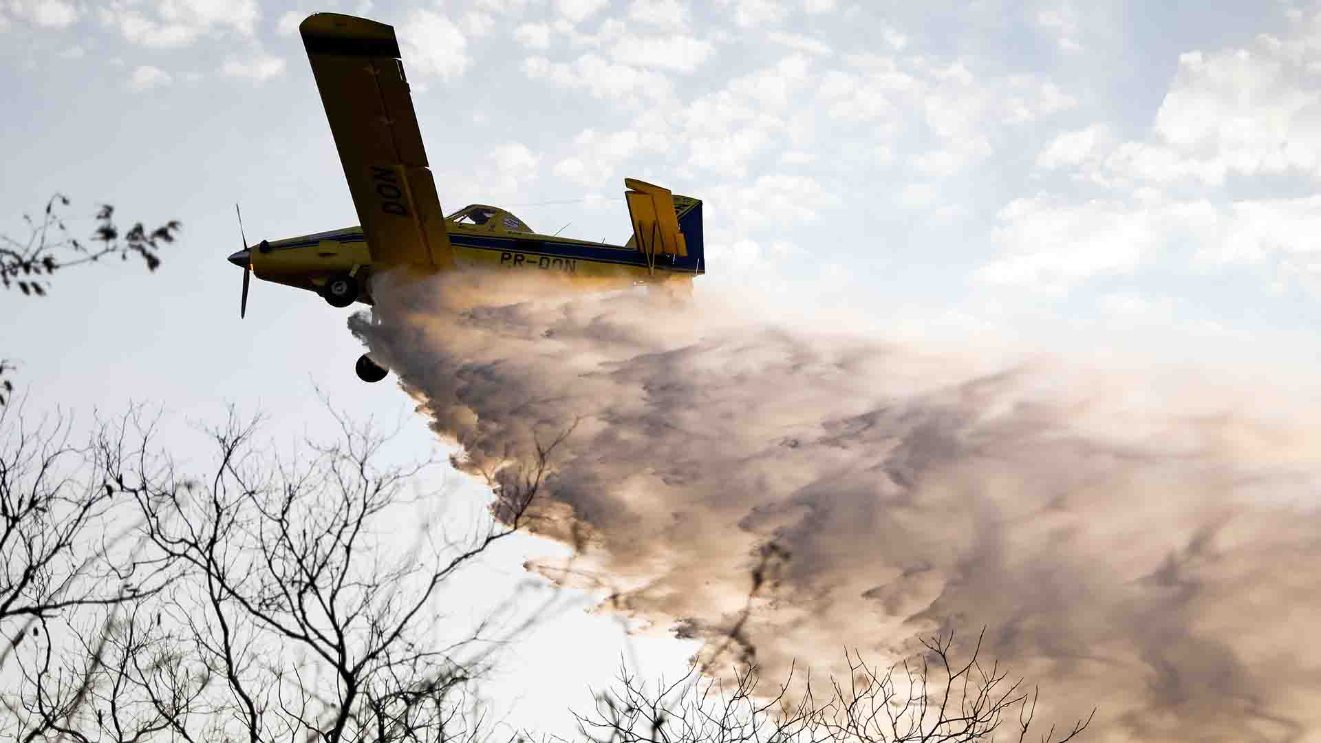 Governo De Mt Decreta Emergência Por 60 Dias Devido A Incêndios
